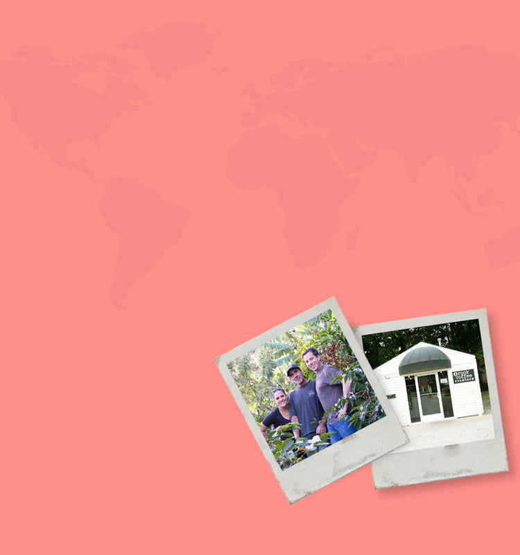 Rook Coffee - New Jersey Specialty Coffee and Cold Brews